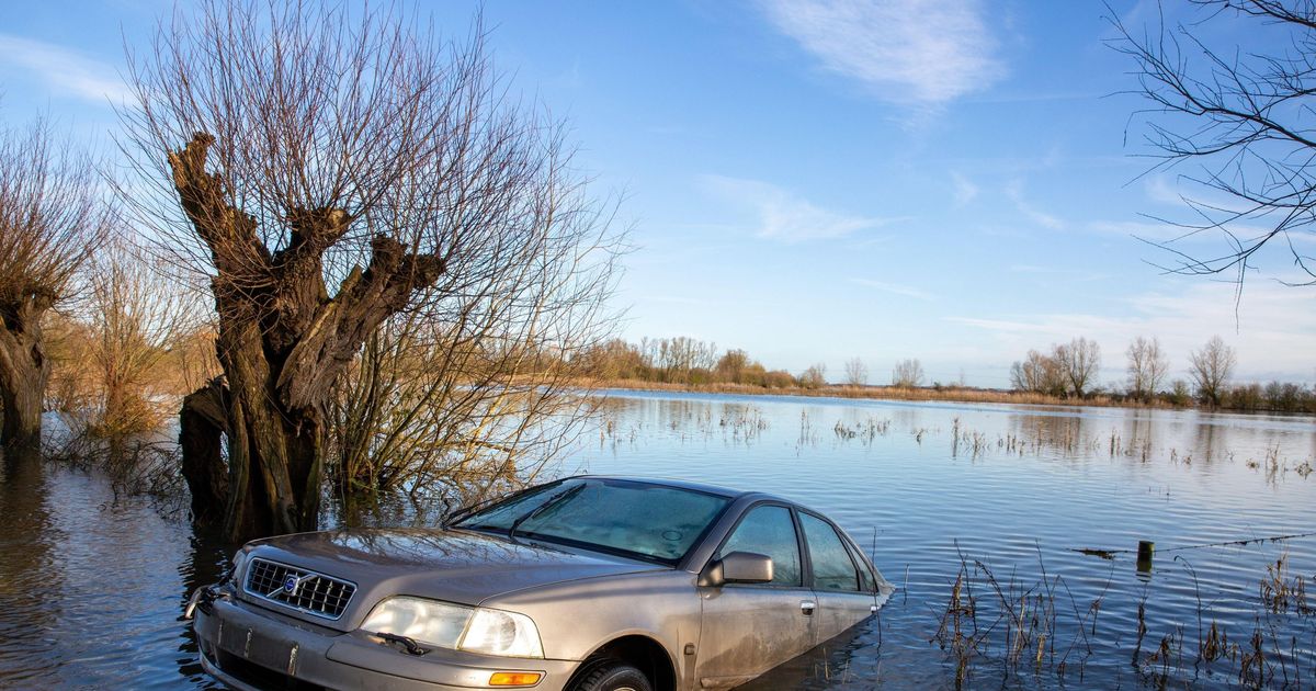 Kako odreagirati, če z avtom pristanete v vodi? Tu je nekaj pomembnih ...