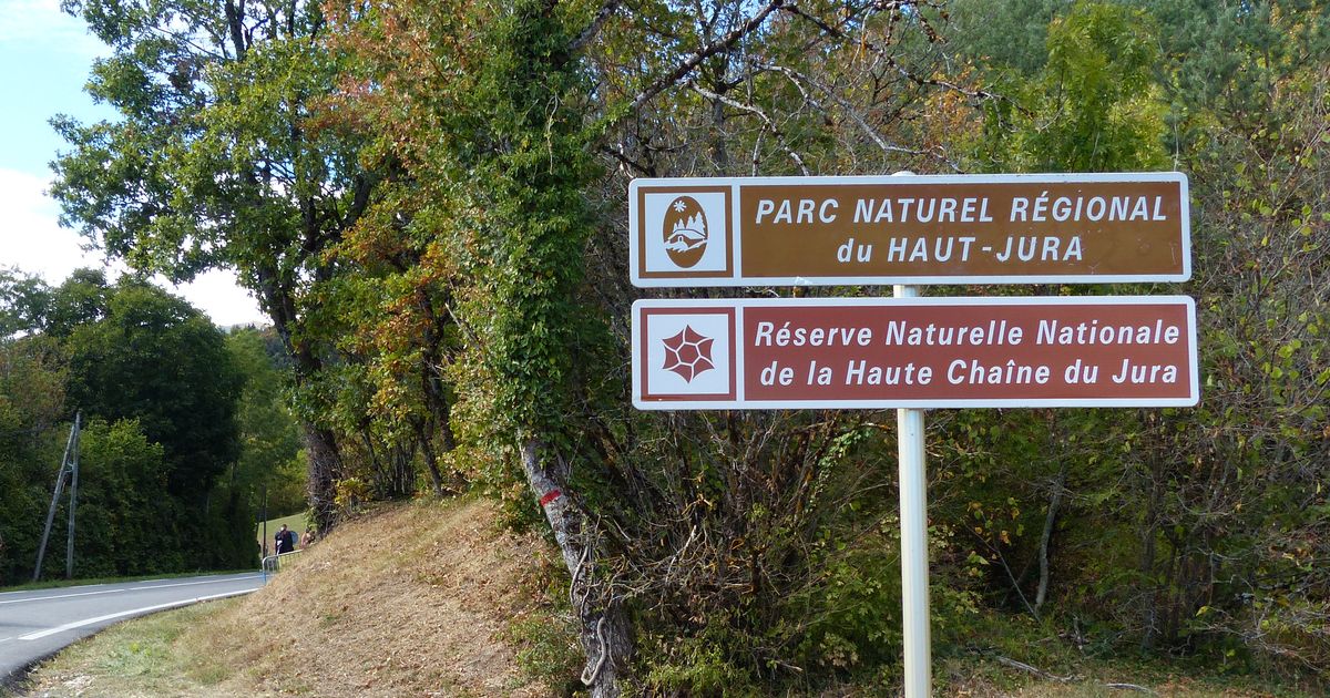 Prometni znak v obliki cveta ne zapoveduje in ne prepoveduje, le ...